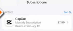 How To Cancel CapCut Subscription? - 2025